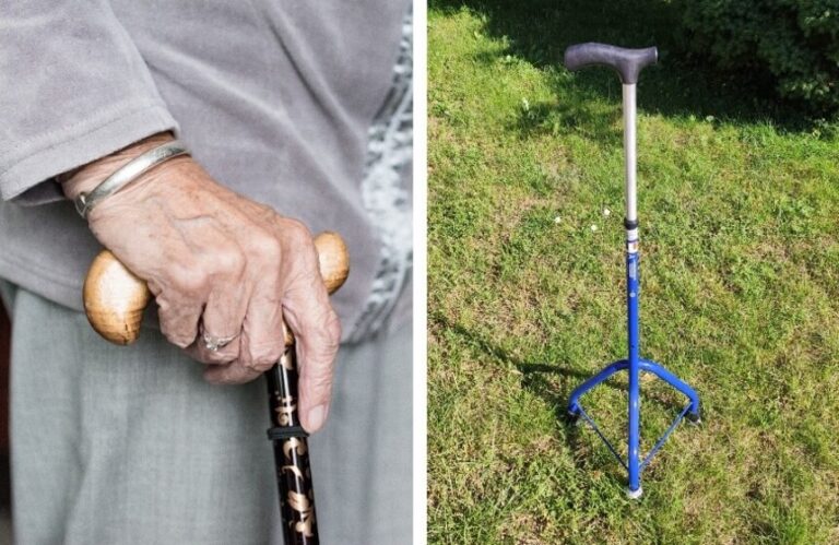 Les 7 Meilleures Cannes De Marche - Les Avis (Hiver 2026)